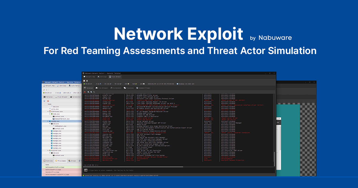 Network Exploit: For Red Teaming Assessments and Threat Actor ...